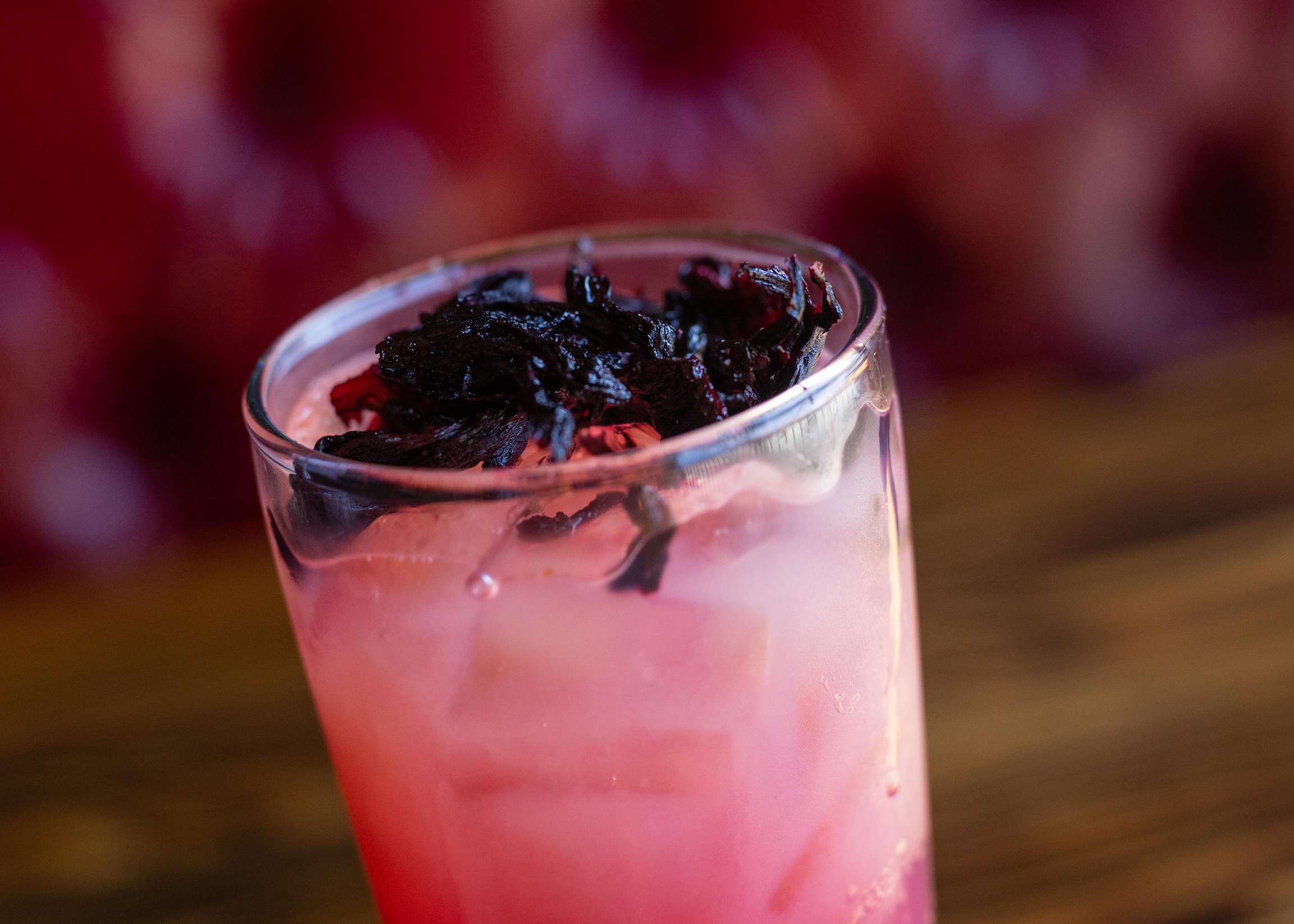 GALLERY – Kalaveras